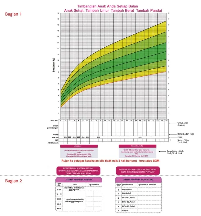 Ibu Baru Wajib Tahu, Begini Cara Baca Grafik Lembar KMS di Buku Pink ...