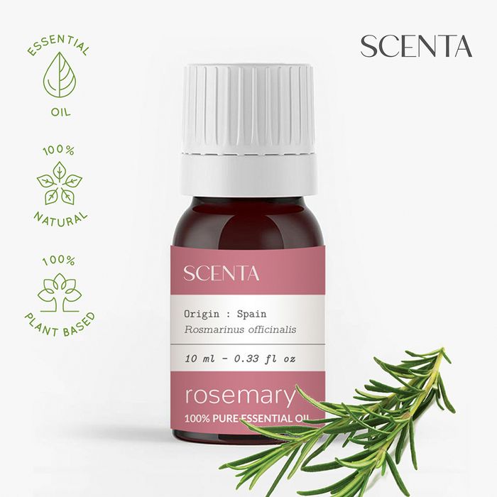 5 Rekomendasi Rosemary Oil Viral di TikTok untuk Pertumbuhan Rambut ...