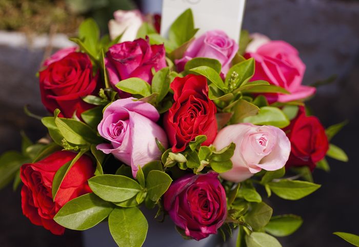 5 Bunga yang Cocok Diberikan pada Pasangan di Hari Valentine - Parapuan