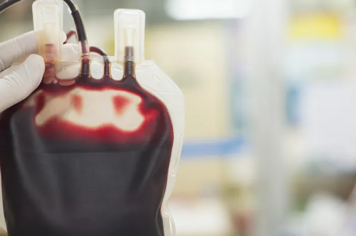 Berencana Donor Darah? Perhatikan 3 Hal Ini Sebelum Jadi Pendonor ...