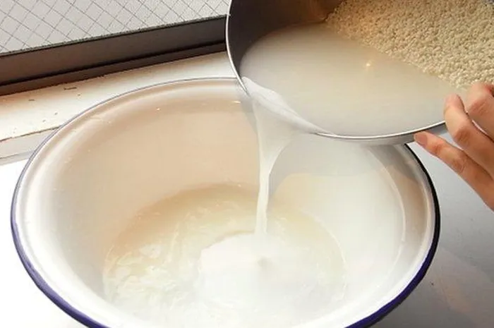 Jangan Langsung Dibuang, Air Rendaman Beras Ternyata Miliki Khasiat Tak ...