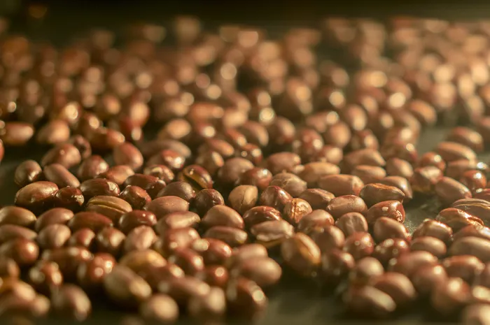 Hari Kacang Kacangan Sedunia Ini Manfaat Makan Kacang Bagi Kesehatan