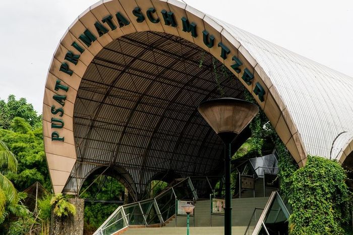 4 Tips Sewa Sepeda di Kebun Binatang Ragunan, Bawa Kartu Identitas ...