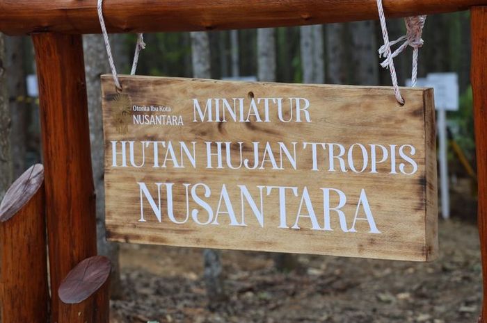 Viral di TikTok Soal IKN, Ada Miniatur Hutan Hujan Tropis yang Bisa ...