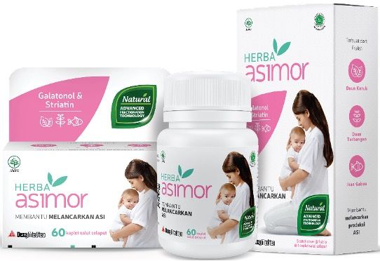 Berkenalan dengan Daun Torbangun, Tanaman Herbal untuk ASI Booster ...
