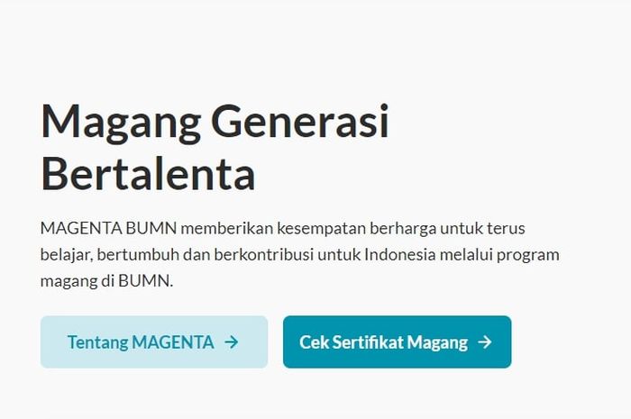 3 Keuntungan yang Akan Kamu Dapat dengan Ikut Program MAGENTA BUMN ...