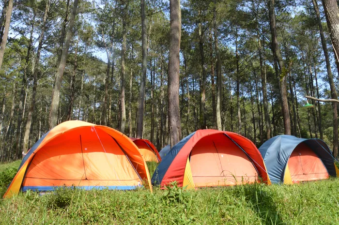 Punya Ide Usaha Rental Perlengkapan Outdoor, Begini Mewujudkannya ...