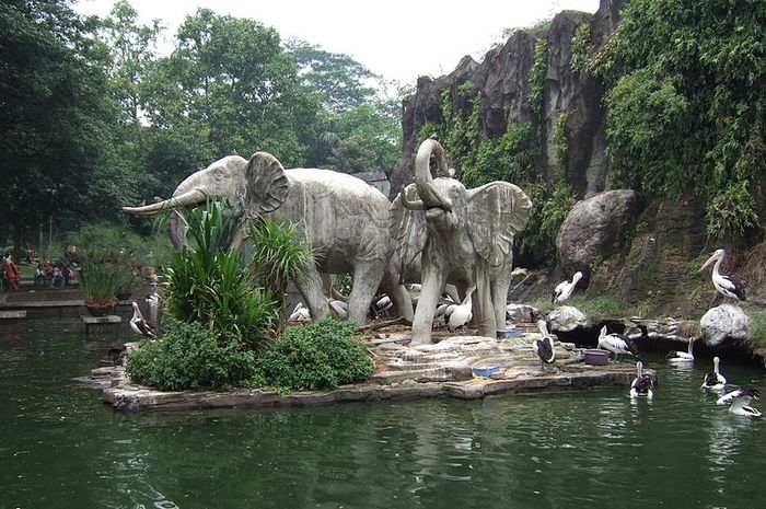 Syarat Masuk Ragunan, dari Reservasi H-1 hingga Harus KTP DKI Jakarta ...