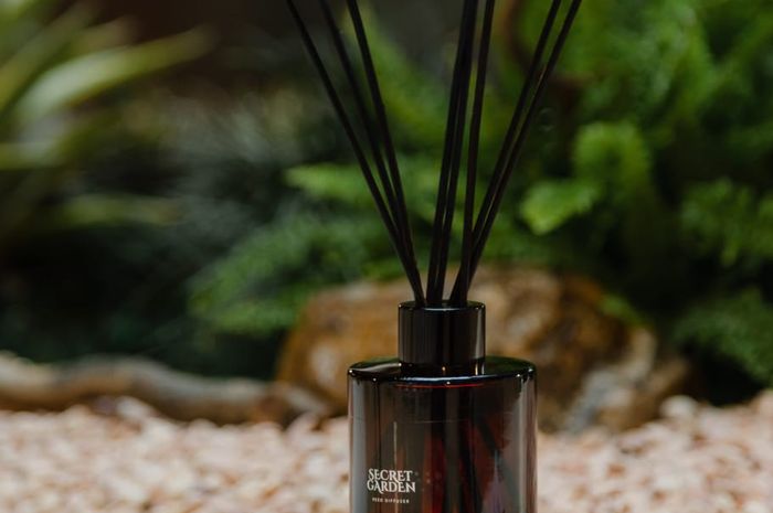 Ini Rekomendasi Reed Diffuser dengan Aroma yang Bisa Menenangkan ...
