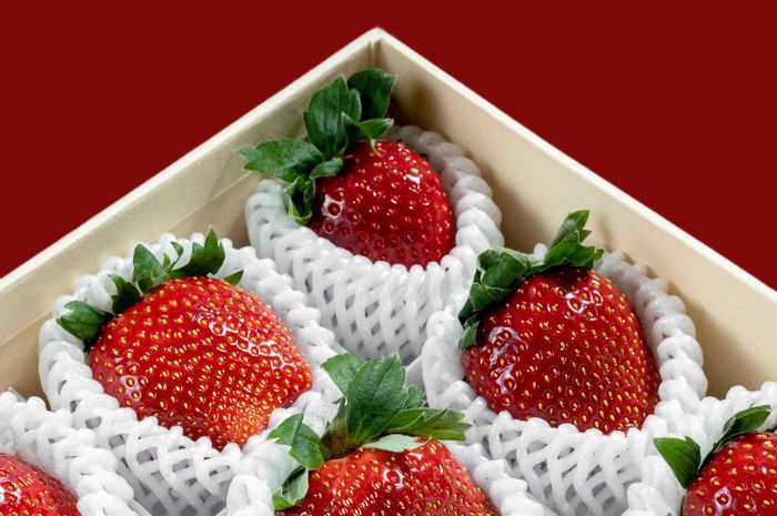 Dewi Buah dari Indonesia, Stroberi Hatsu Hana Tembus Rp10 Juta Sekotak ...
