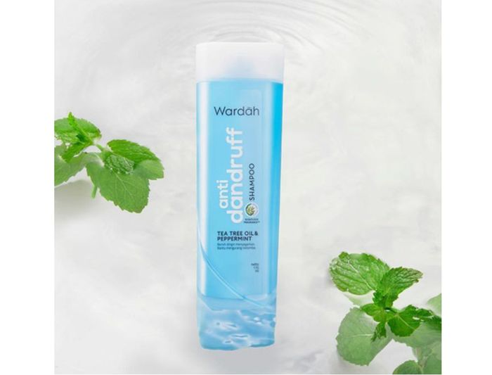 Bisa Hilangkan Ketombe, Ini 5 Rekomendasi Sampo Kandungan Daun Mint ...