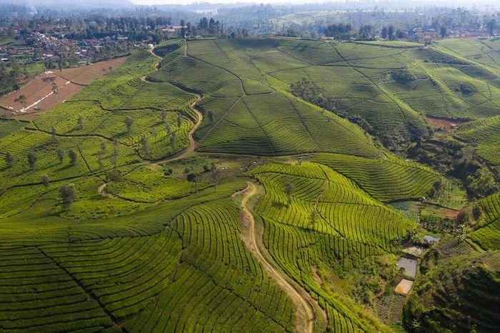 Ramai Pengabdi Setan 2, Tengok Lokasi Rumah 'Ibu' yang Jadi Salah Satu ...