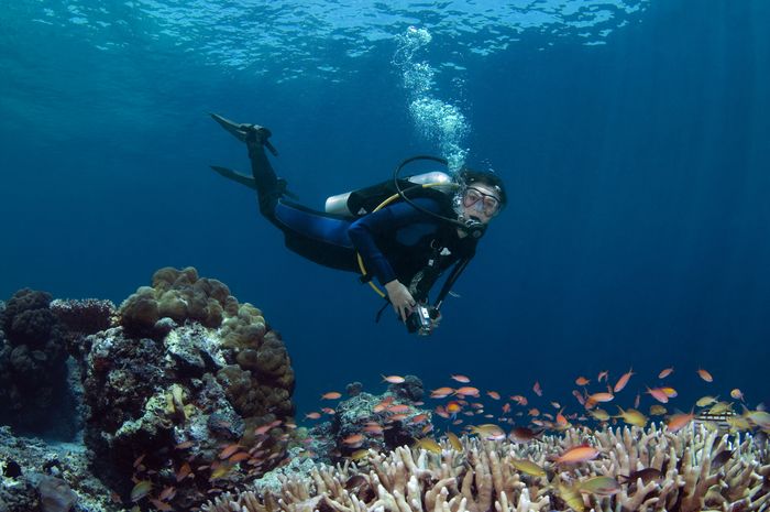 2 Perbedaan Snorkeling dan Diving, Salah Satunya Kedalaman Laut - Semua ...