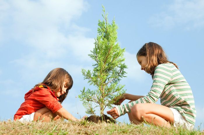 Jangan Tunda Lagi, Yuk Segera Lakukan 3 Cara Menjaga Kelestarian Bumi ...