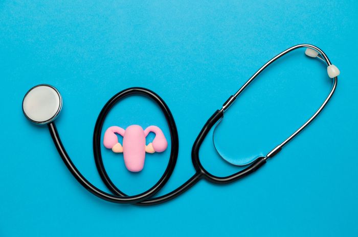 Mengenal Masalah Kesehatan Seksual dan Reproduksi Perempuan Polip Rahim ...