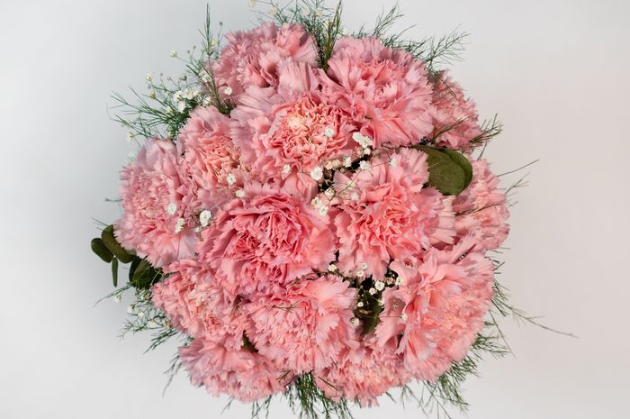 Salah Satunya Wujud Kebencian, Ini 5 Bunga yang Memiliki Arti Suram ...